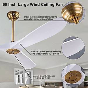 QUTWOB 60" Ceiling Fan with Remote Control No Lights,Modern Reversible DC Motor Indoor Outdoor 3 Blades Ceiling Fans for Patio Bedroom Living Room(Gold+White)