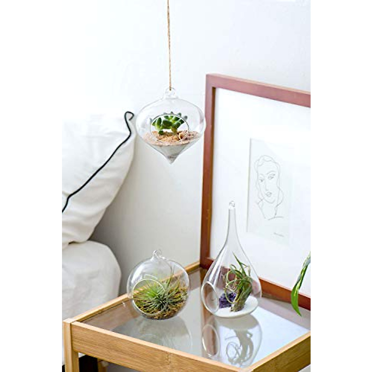 Mkono 3 Pack Glass Hanging Planter Air Fern Holder Terrarium Plants Hanger Vase Home Decoration Gift Idea for Succulent Moss Tillandsias Air Plants, Olive, Globe and Teardrop (Plant Not Included)