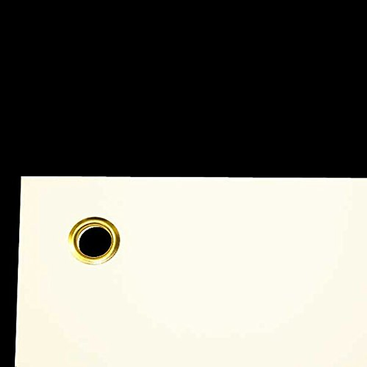 Understanding Allergies Anatomical Chart