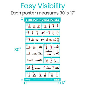 Vive Yoga Poses + Stretching Exercises + Resistance Band Workouts Poster for Home Gym (3 Pack) - 149 Illustrations for Flexibility, Strength, Core, Exercising, Pilates Mat - Work Chart Set, Laminated 30" x 17"