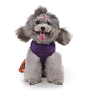 Yoption Halloween Dog Cat Costumes Witch Skeleton Dress, Pet Party Outfits Cosplay Hoodie Funny Puppy Cats Skirt (XL)