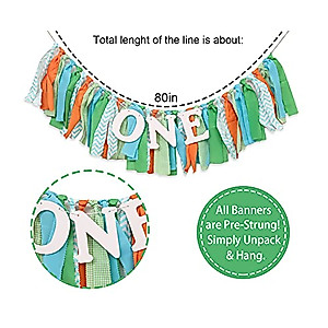 High Chair Banner for 1st Birthday - Highchair Banner for First Birthday Theme Decoration, Cake Smash Photo Prop, Fabric Rag Garland Banner,Guppies, Green, Orange, Rag Tie