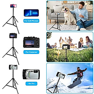 GreatLPT 75'' Light Stand Extendable, Photography Tripod Stand Metal Portable Tripod Stand Perfect for Ring Light, Softboxes, Video Lights, Camera