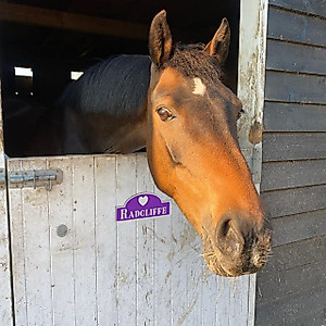 Acrylic Horse Stall Name Plate, 3.4" x 7.8" Personalized Stall Signs, UV Protected, Custom Pet Name Sign, All Weather Adhesive, Mounting (Printing-Colorful)