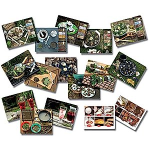 Yellow Door Mud Kitchen Activity Cards