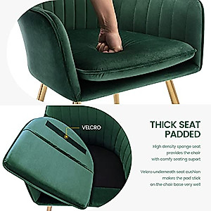 ceedment Modern Living Dining Room Accent Arm Chairs Club Guest with Gold Metal Legs (2, Green)