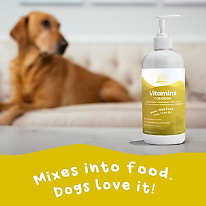 Vitamins for Dogs - Liquid Multivitamin for Dogs - Senior Dog Vitamins - Vitamins for Dogs with Probiotics - USA Made Dog Vitamins - Pet Vitamins for Dogs & Dog Supplements