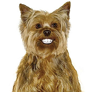 Pedigree Dentastix Fresh Toy/Small Treats For Dogs - 5.26 Oz. 21 Count