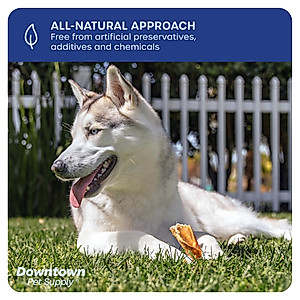 Downtown Pet Supply - Jumbo Pig Ears - Dog Dental Treats & Rawhide-Free Dog Chews - Healthy Coat & Skin Care, Cholesterol & Heart Health Dog Treats - Protein, Vitamins & Minerals -35 Pack