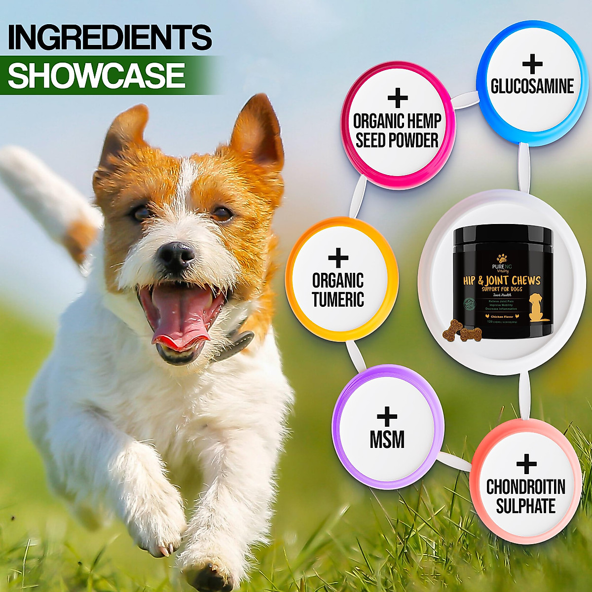 Dog Hip and Joint Supplement - 120 Chicken Flavored Chews | Includes Glucosamine Chondroitin for Dogs | Joint Supplement for Dogs | Dog Vitamins and Supplements | Dog Pain Relief Anti Inflammatory