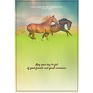 CPG Card-Boxed-Shared Blessings-Birthday Wild Horses (Box of 12)