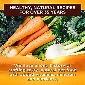 Nature's Recipe Grain Free Easy to Digest Salmon, Sweet Potato and Pumpkin Recipe Dry Dog Food, 4-Pound