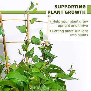 5 Pack 16" Bamboo Trellis for Climbing Plants-Natural Garden Ladder Trellis, Fan -Shaped Support Trellis for Potted Plant Decor in Door