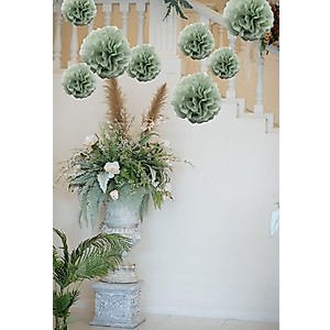 9PCS Dusty Sage Green Tissue Paper Pom Poms Flowers Wall Hanging Backdrop Streamers for Botanical Neutral Baby Shower Wedding Birthday Bridal Shower Nursery Room Garden Décor