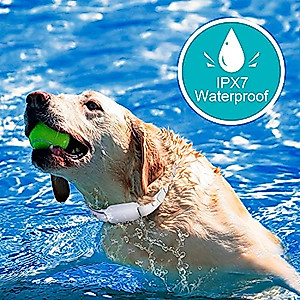 Bousnic Shock Collar for Dogs - Waterproof Rechargeable Dog Electric Training Collar with Remote for Small Medium Large Dogs with Beep, Vibration, Safe Shock Modes (8-120 Lbs) (Grey)