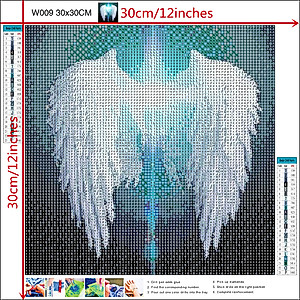 NIHO-JIUMA Feather Wings Diamond Painting Kit, 5D Full Diamond Art Gift for Adult, Home Decoration (30x30cm/12x12 inches)