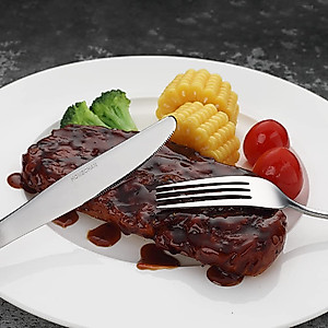 HOMECHEN 20 Piece Stainless Steel Double Line Flatware Cutlery Set, Utensils Service for 4, Include Knife Fork Spoon, Perfect for Home Kitchen Restaurant, Stylish Mirror Finish, Dishwasher Safe