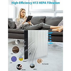 BBT BAMBOOST D480 True HEPA Replacement Filter D4 Compatible with Winix D480 Air Purifier, 1 True HEPA and 2 Activated Carbon Filters, Item Number 1712-0100-00