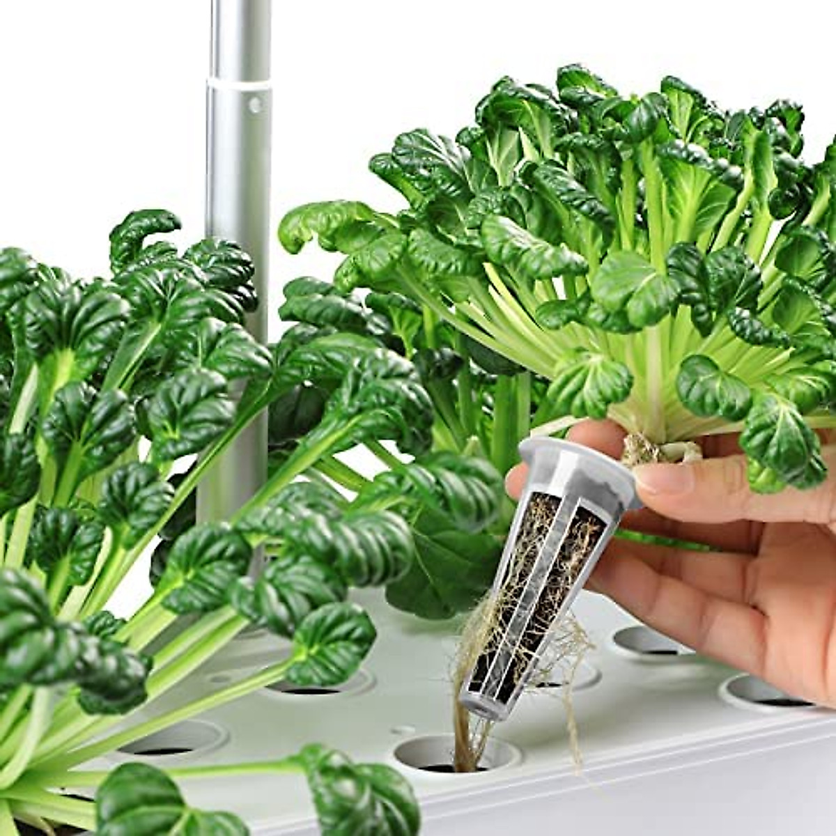 Ahopegarden Indoor Garden Hydroponic Growing System with Seed Pod Kit