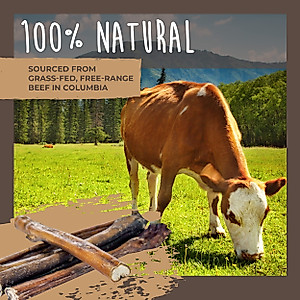 Mighty Paw Naturals Bully Sticks - All-Natural Protein-Rich Dog Chews from Grass-Fed Beef. Single-Ingredient Pet Treat for Dental Health. Keeps Chewers Busy - Bully Stick - Dental Chew Dog - Dog Stick
