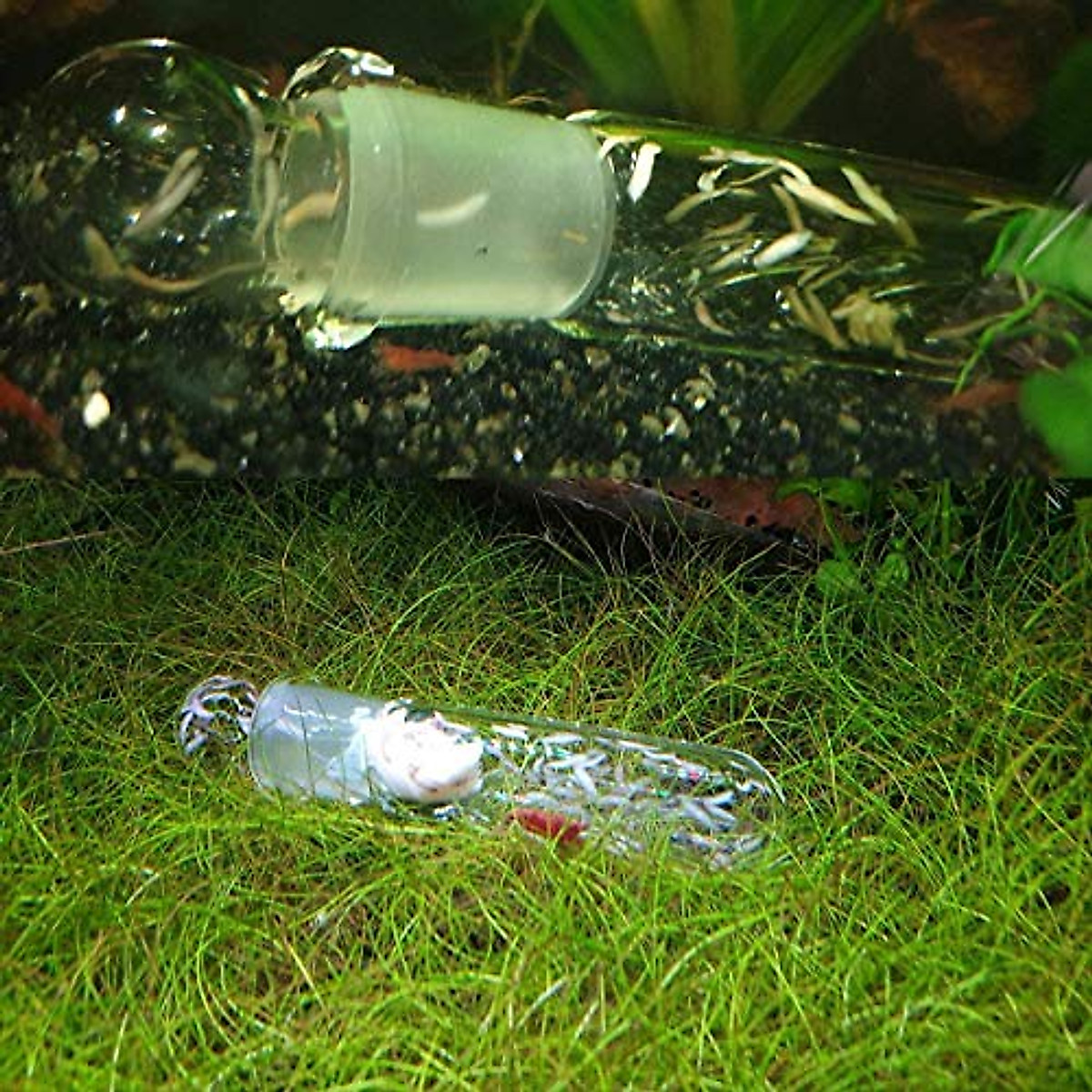 Windspeed Planaria Trap Catch Trap Leeches Catcher, Aquarium Supplies Clear Glass Planarian Leech Trap Tube Catcher 3 Holes for Cherry Shrimp Crystal Red Shrimp Dwarf Shrimp