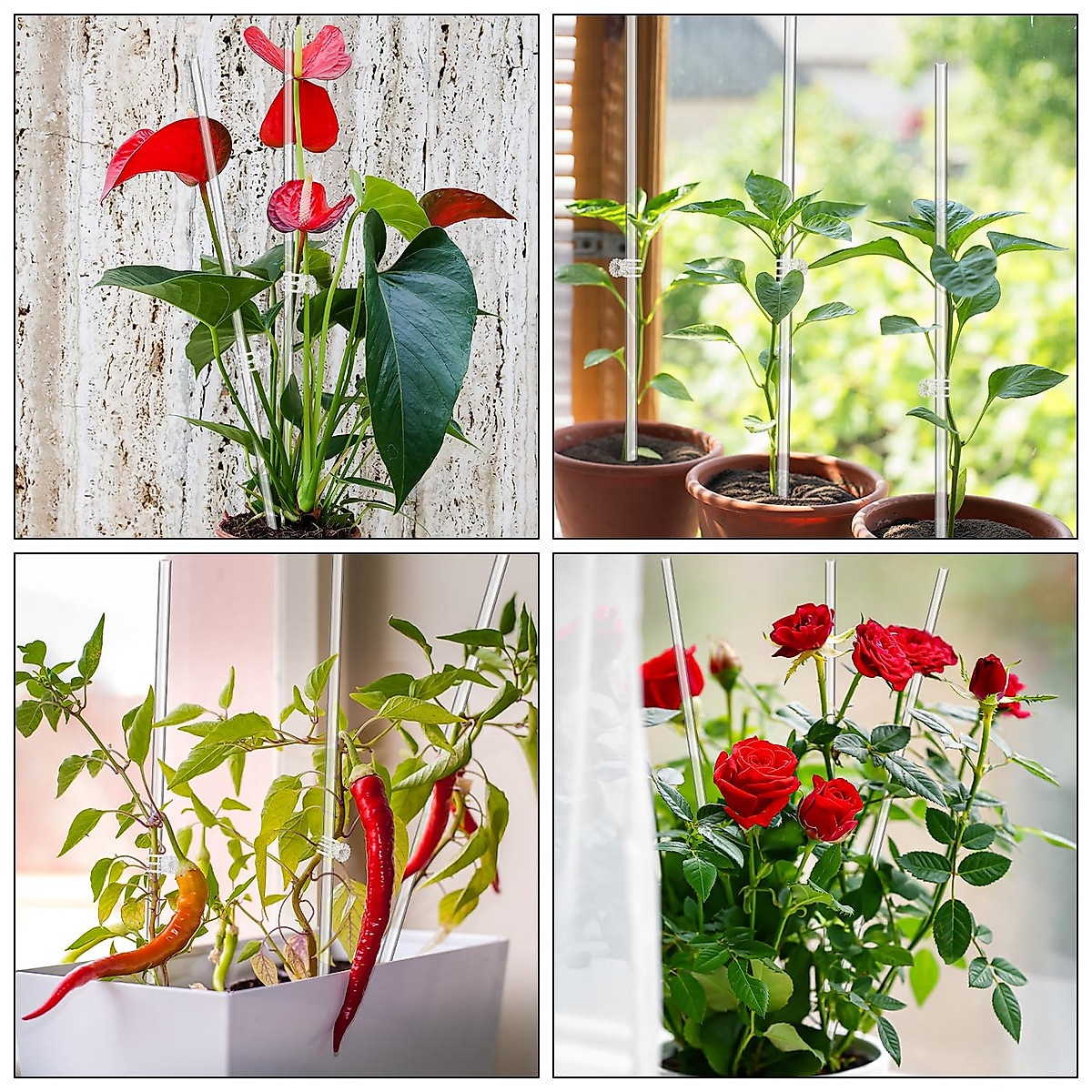 Plant Stakes,Plant Sticks 20PCS Acrylic Clear Plant Support Stakes,18 Inches Garden Single Stem Orchid Stakes for Indoor and Outdoor Plants,Orchid,Potted Plants,Tomatoes,Flowers（with 20PCS Clips）