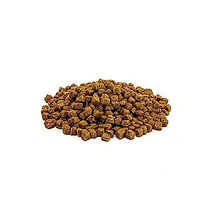 Harrison's Bird Food Power Treats with Red Palm Fruit Oil, 1 lb. 454g