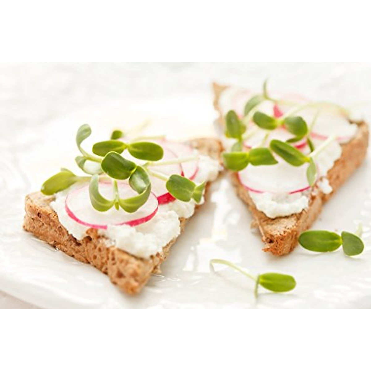 Back to the Roots 810667030377 Microgreen Bundle Sunflower & Organic Pea Shoot Seeds, Certified Organic, 0.56 Ounce (Pack of 6)