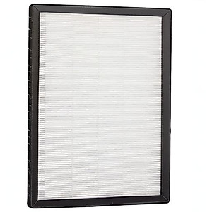 Climestar Premium H13 Grade True HEPA and Pre-Filters Compatible Replacement for Alexapure Breeze Air Purifiers AP-B102 and 3049 filter set