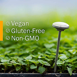 Herb Pharm Certified Organic Olive Leaf Liquid Extract for Immune System Support, 4 Fl Oz