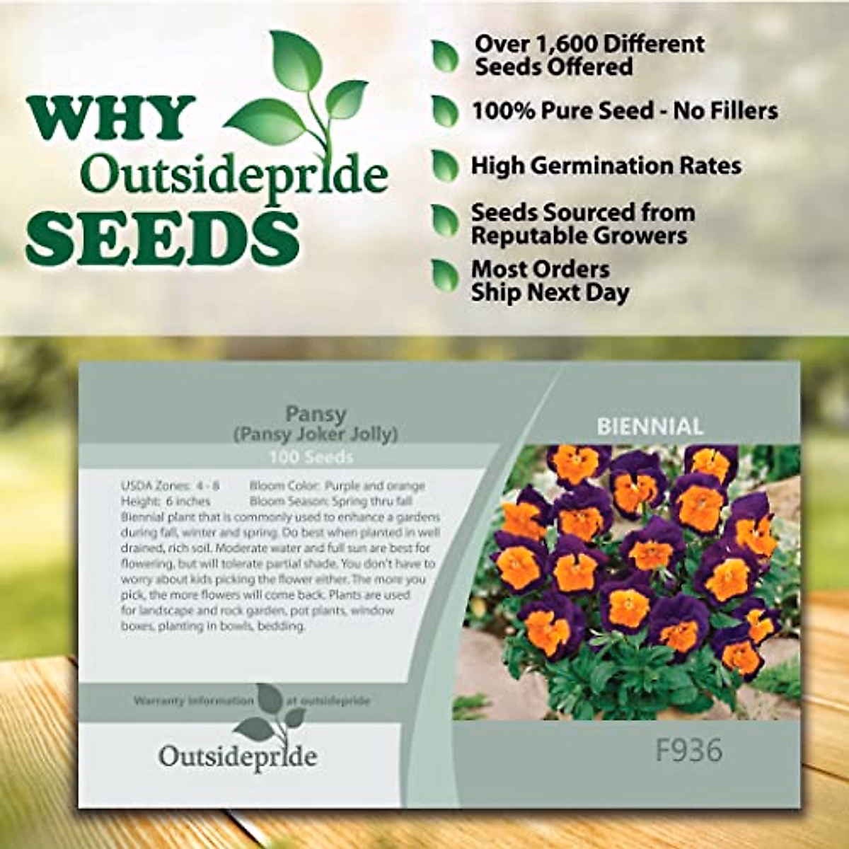 Outsidepride Pansy Jolly Joker Indoor House Plant Or Outdoor Garden Flower for Beds, Borders Pots, & Containers - 100 Seeds