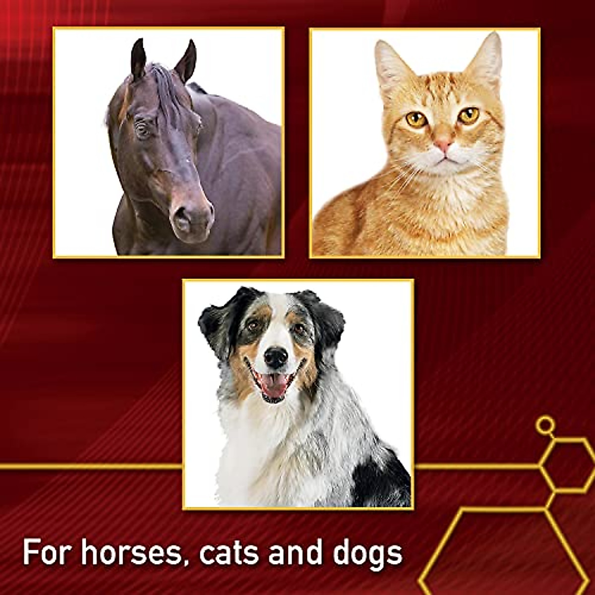 Vita Flex Pro Horse MSM Quality Joint Supplement, 4 Pounds