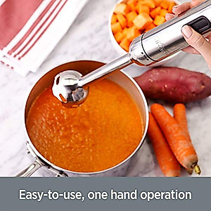 All-Clad Cordless Rechargeable Stainless Steel Immersion Multi-Functional Hand Blender, 5-Speed, Silver