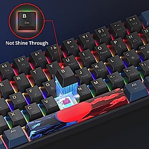 Taeeiancd Gaming Keyboard 60 Percent Mechanical with Linear Red Switch, 60% Wired Ultra-Compact Mini Keyboard Rainbow with PBT Keycaps for Ps4/Ps5/Xbox