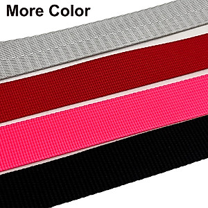 Horse Blanket Sheet Leg Straps， Adjustable Horse Leg Replacement Straps，with Metal Double Swivel Snaps, Adjustable Length from 24 to 42 Inch (Two Side Snaps)，Silver 2 PCS