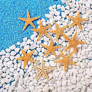 TIHOOD 90PCS 0.4"-1.2" Small Starfish Star Sea Shell Beach Crafts Decor (Yellow)