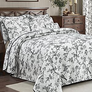 EVENHUG 100% Cotton Quilt Queen Size Black Bird Bedding Set Double Printing Lightweight Quilt Reversible Coverlet Bedspread with Pillow Shams All Seasons 3 Pieces (92"x96")