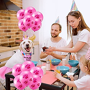 Dog Birthday Party Supplies Decoration Include Tutu Skirt Crown Hat 0-8 Figure Pet Happy Birthday Triangle Scarf Let's Pawty Banner and 10 Pieces 10 Inch Paw Print Balloons for Pet (Pink)