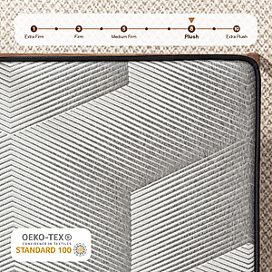 DIGLANT Twin XL Mattress, 14Inch Hybrid Mattress Soft Plush Supportive Memory Foam with Individual Pocket Springs for Pressure Relief, Twin XL Size Mattress in a Box, CertiPUR-US Certified, 39"*80"