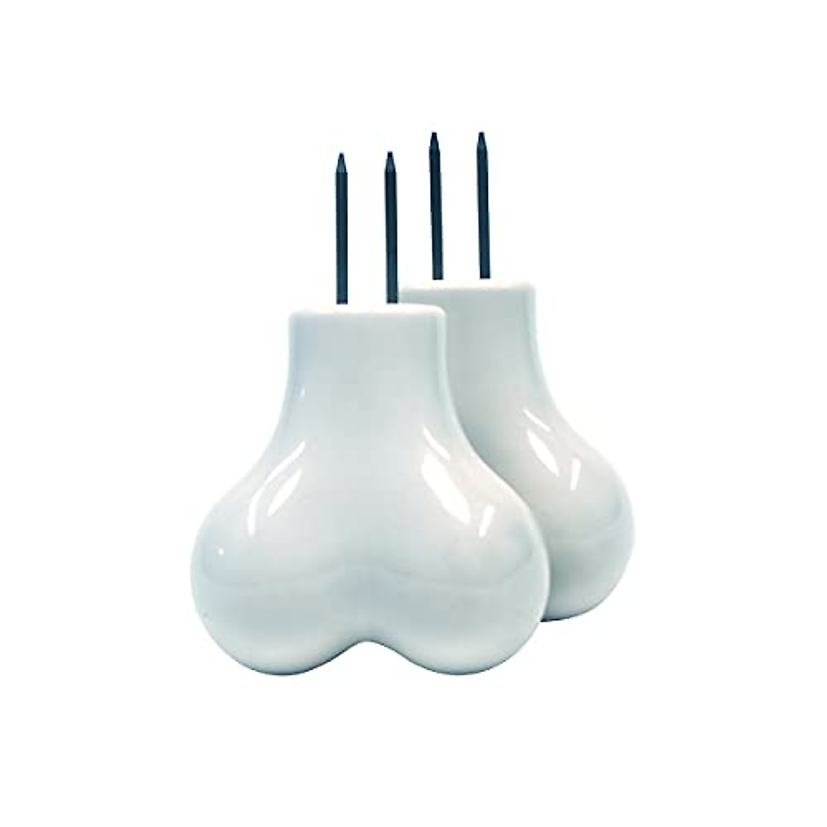 Treasure Gurus Stainless Steel Bone Shaped Handle Corn Cob Holders 2 Prong Novelty BBQ Skewer Fork Picnic Utensil