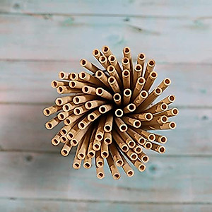 EcoAmiga Bamboo Straw, 8 Inch Reusable & Biodegradable Organic Bulk Straws – Great Ecological Alternative to Plastic Straws (Bamboo)