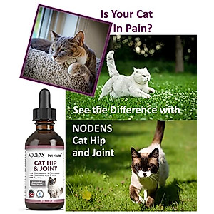 NODENS CAT Hip and Joint Glucosamine for Cats with Chondroitin and Opti-MSM® Hyaluronic Acid for Improved Joint Flexibility and Pain Relief from Inflammation and Cat Arthritis 2 floz