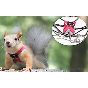 Squirrel Traction Rope Strap Anti-Biting Chain Rope, Adjustable Vest, Small Animal Walking Harness with Lead Leash with Free Collar for Hamster Gerbil Rat Mouse Ferret Chinchilla (Black with Blue)