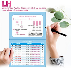 Ovulation and Pregnancy Test Strips (HCG25-LH80), OPK Ovulation Predictor Kit Includes 25 Early Pregnancy Tests, 80 Ovulation Test Strips, 105 Urine Cups, Accurate Fertility Test for Women