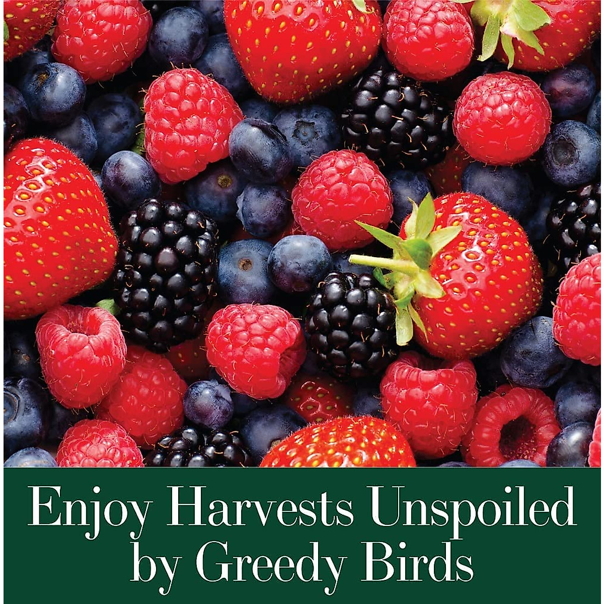 Dalen Bird X Protective Mesh Netting - Keep Birds and Pests Away from Your Garden – Non Toxic - Made in The USA - 14' x 14'
