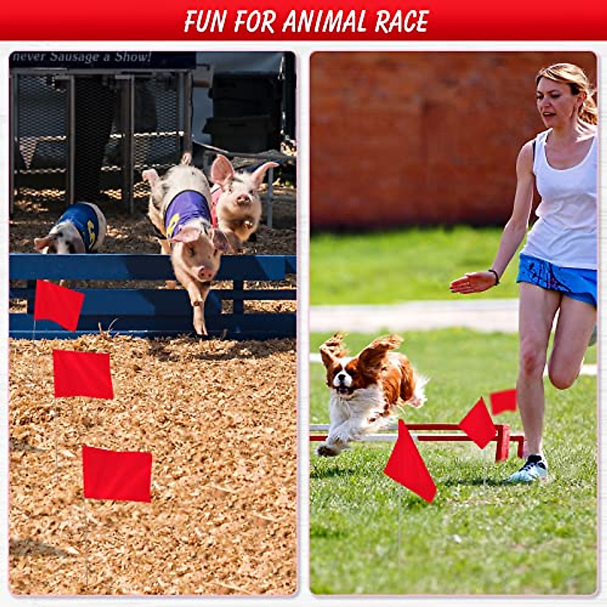 50 Pack Marking Flags Marker Flags for Lawn, IKAYAS 4 * 5 Inch Red PVC Small Yard Flags Yard Marking Flags on 15 inch Steel Wire, Lawn Flags, Yard Flags, Garden Flags