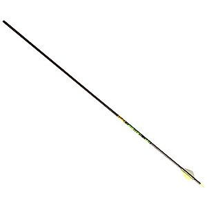 Gold Tip Hunter XT Arrows with Raptor Vane (Pack of 6), Black, 300
