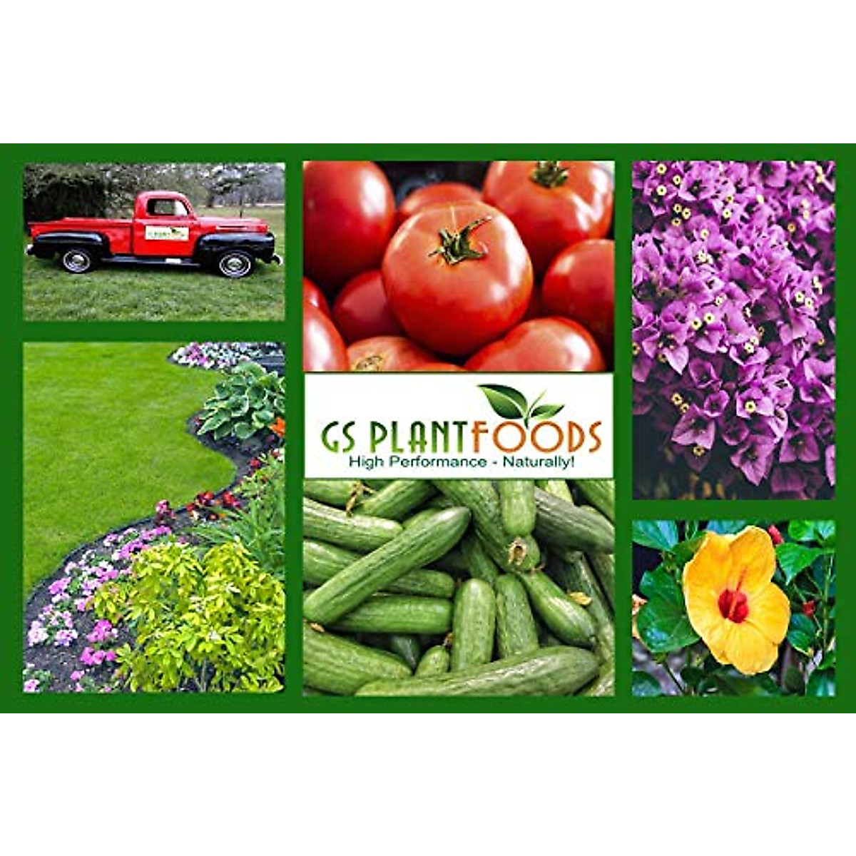 Omri Listed Fish & Kelp Fertilizer by GS Plant Foods (1 Gallon) - Organic Fertilizer for Vegetables, Trees, Lawns, Shrubs, Flowers, Seeds & Plants - Hydrolyzed Fish and Seaweed Blend