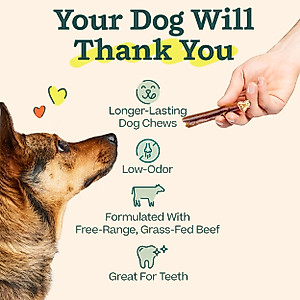 WOOF BullySafe and Bully Sticks - Nutritious Chew Sticks for Dogs and Bully Stick Holder for Safe, Long-Lasting Play -No More Swallowed Ends - 6" Sticks - 5 Pack