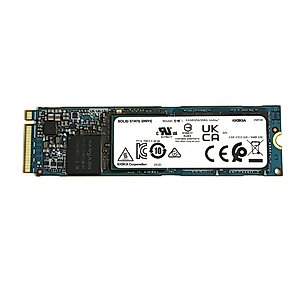 KIOXIA SSD 256GB XG6 NVMe PCIe Gen3 x4 M.2 2280 KXG60ZNV256G Solid State Drive for PS5 Dell HP Lenovo Laptop Desktop Ultrabook